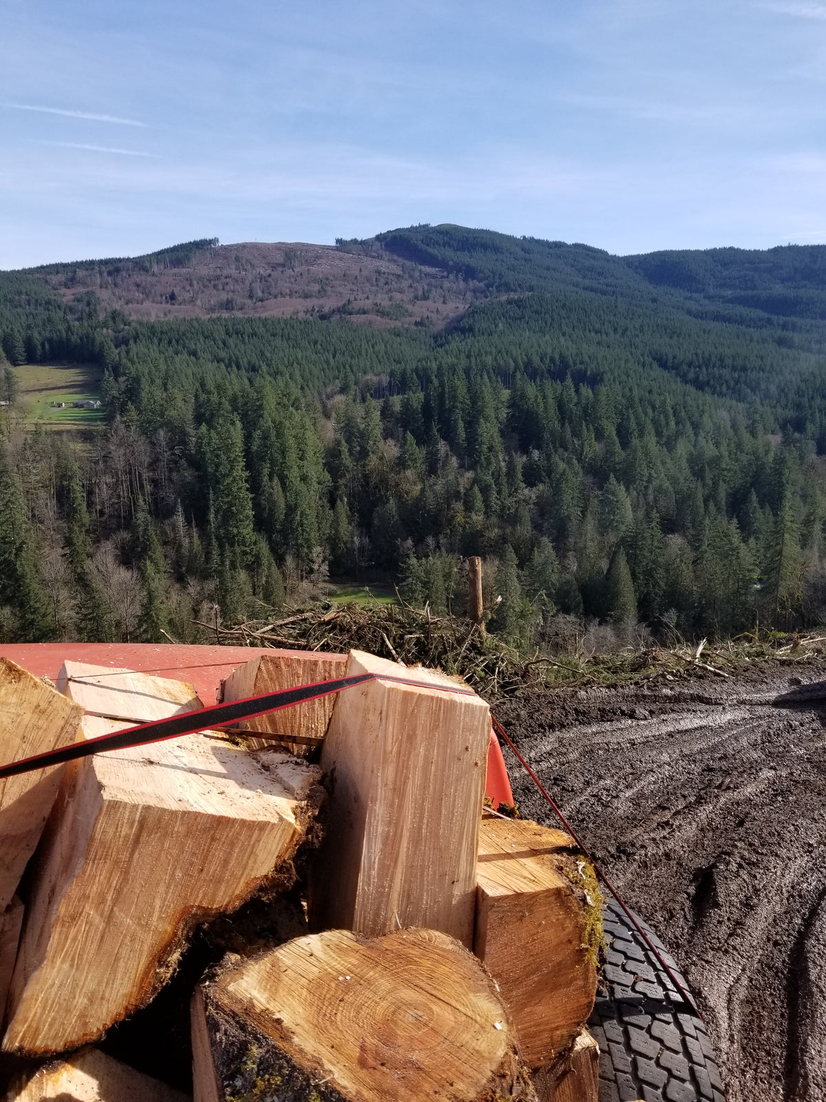 Figured Woods for Instruments and Crafting