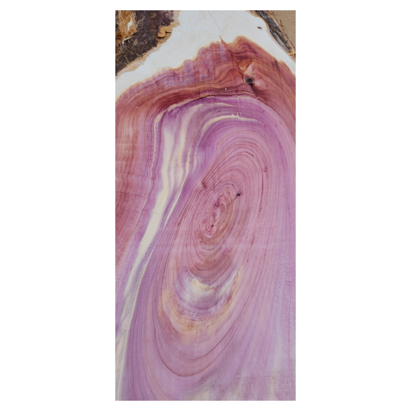 Bermuda Cedar Mini Slabs